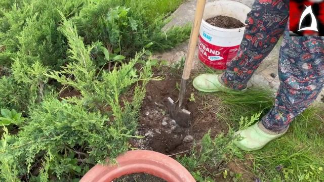 Майские хлопоты.