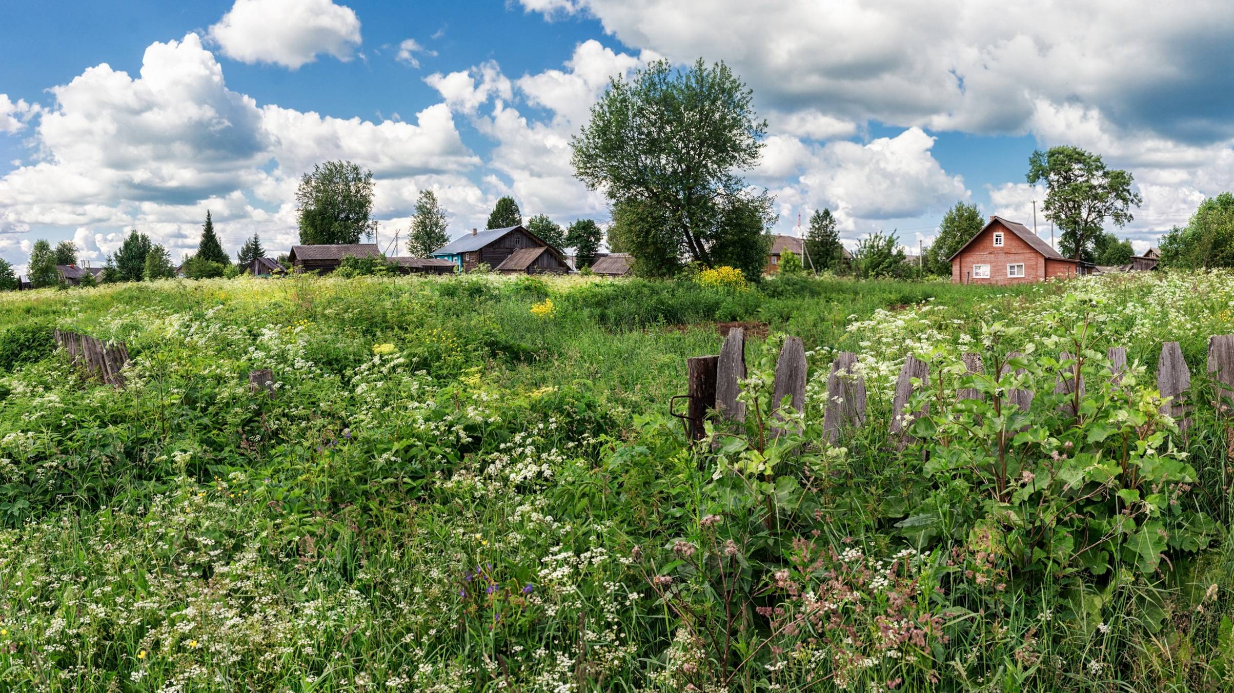 "В ВОЛОГОДСКОЙ ДЕРЕВНЕ"... (Фото Фёдора КОВАНСКОГО (Вологда) - Дуэт баянистов А. ШАЛАЕВ, Н. КРЫЛОВ)
