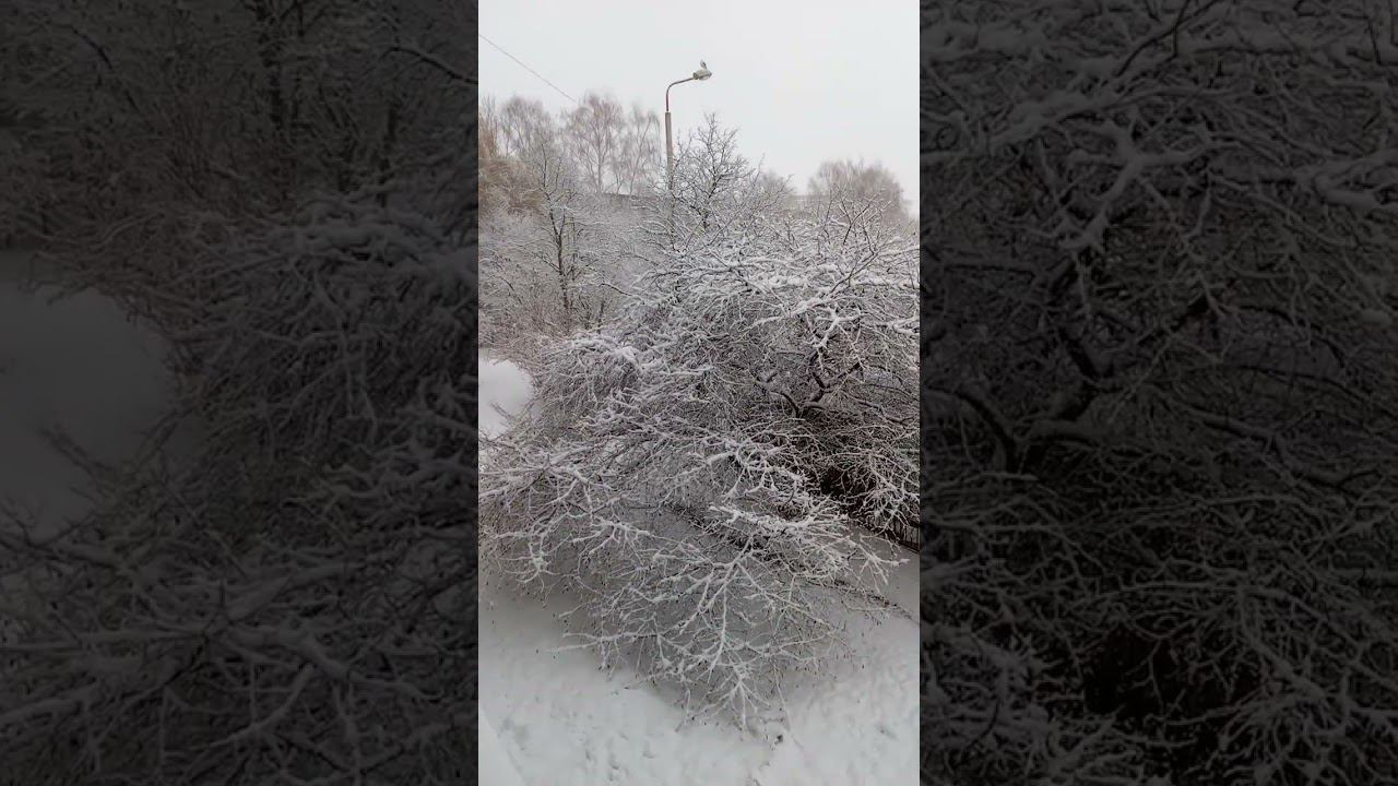 ЗИМА В КАЛИНИНГРАДЕ