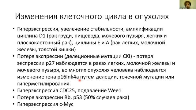 Клеточный цикл и его изменения в канцерогенезе