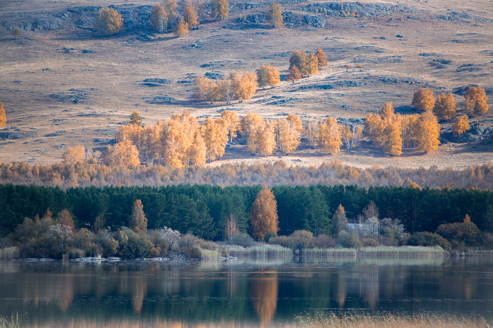 Баймакский район