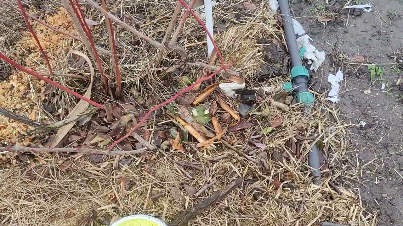 Ежегодное внесение серы.