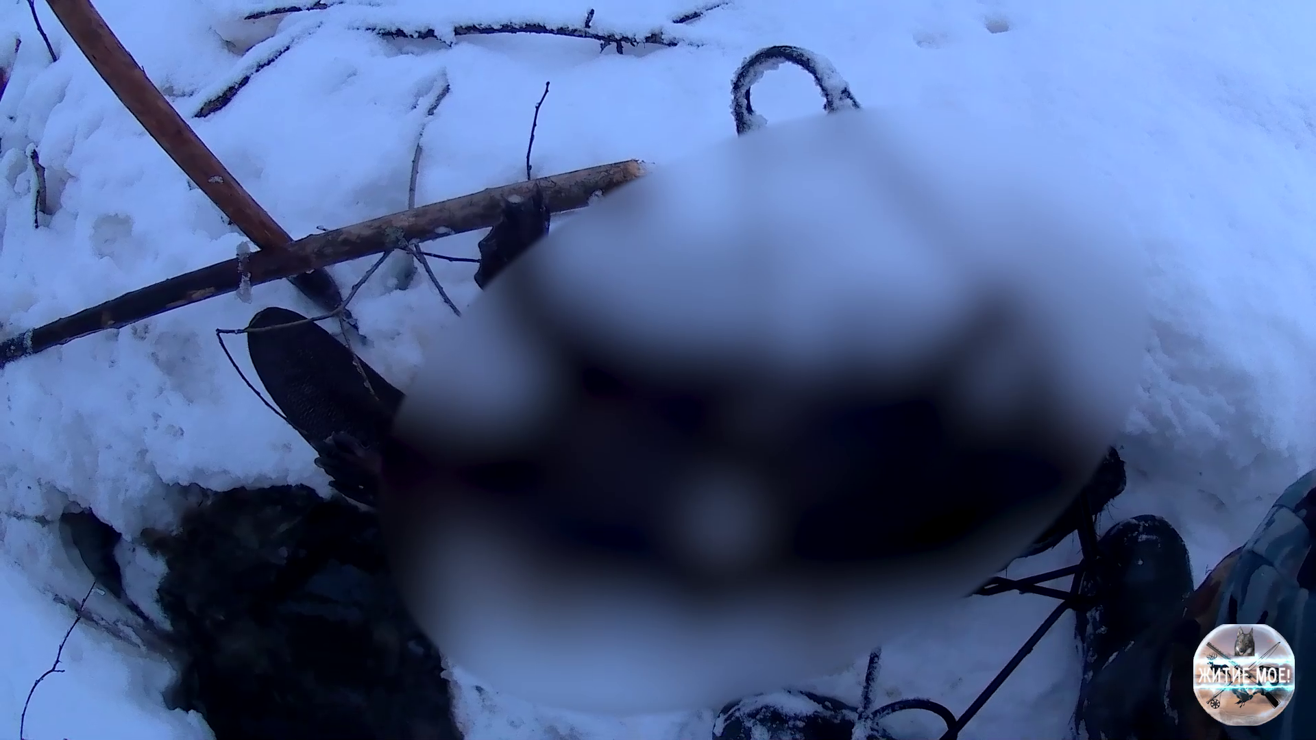 Охота на бобра зимой.Охота и рыбалка.