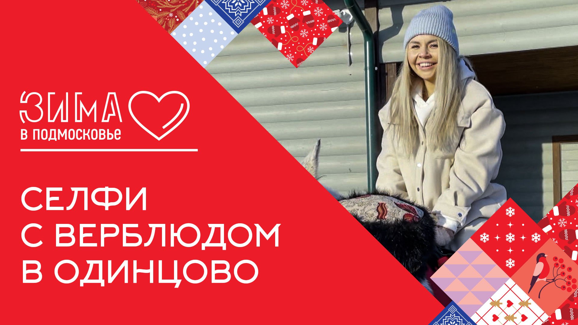 Селфи с верблюдом или освоение беговых лыж: как не замерзнуть зимой в Подмосковье