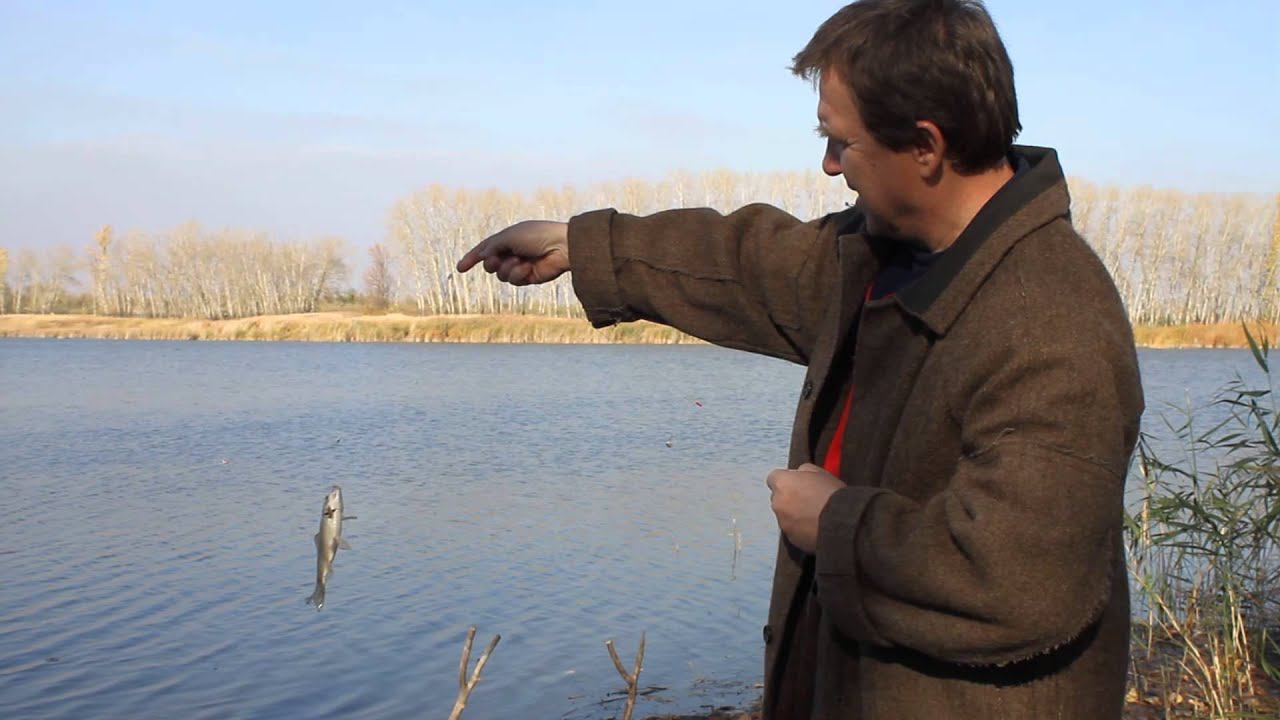 Вова поймал карася