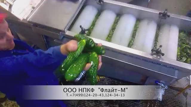 Щеточная моечная машина для огурцов (цукини)