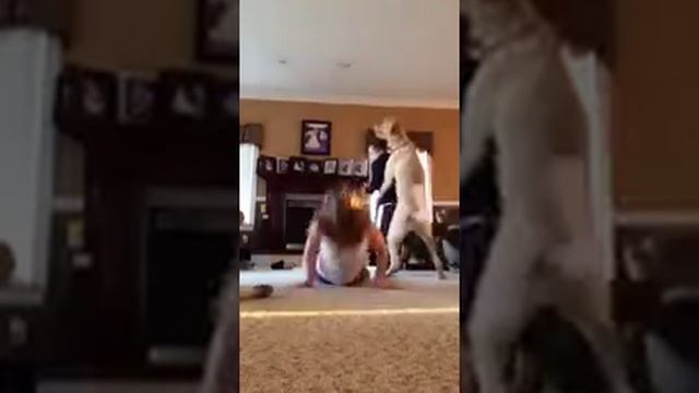 VID_20221218_204403_236.mp4