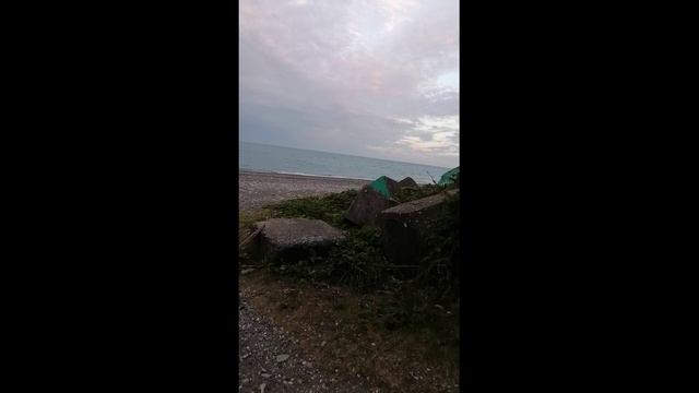 Прогулка от Кипарисовой аллеи, через курорт "Пицунда" в центр города.