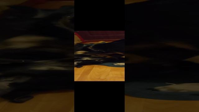 Кто сильнее?