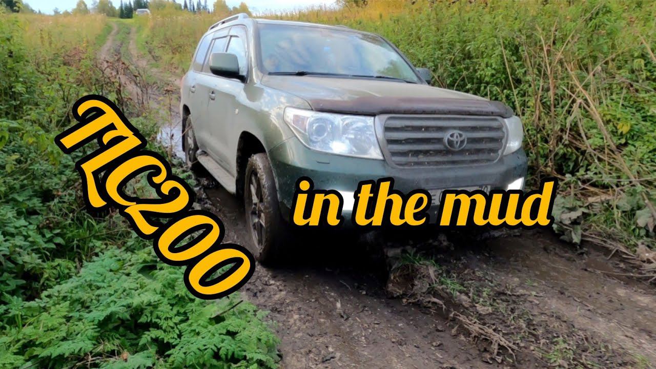 Попробовали TLC200 в лесу