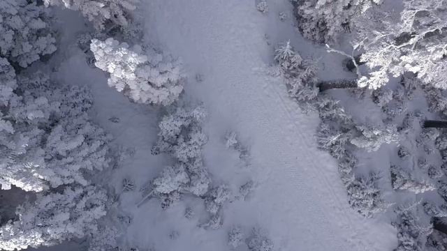 Volkslied' 'Творческое содружество Лисьая небо' Игорь Фёдоров' 'К тебе'