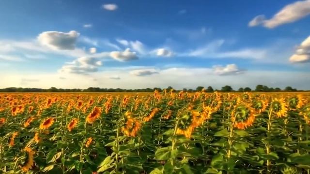 Голоса Енисея - Песня о Родине