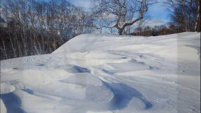 Детско юношеская студия FREEDOMART Волшебница зима