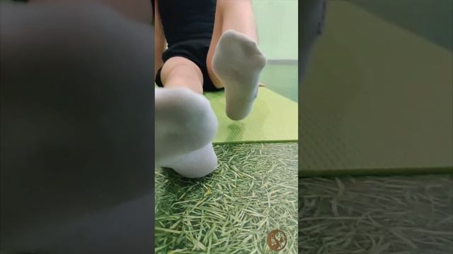 Урок классического танца / балет для детей / г. Ростов-на-Дону