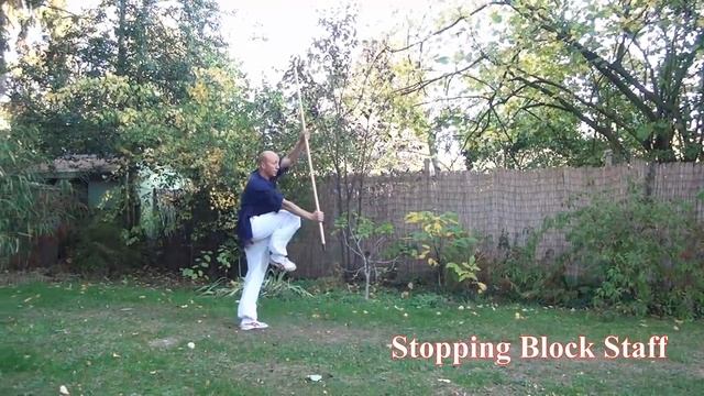 Gunshu 32 Form Tutorial 棍术 三十二 形成, Shaolin Kung-Fu & Tai-Chi in Düsseldorf - Sif.mp4