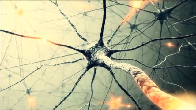 48. Как Учиться Быстро Полезное Образование!