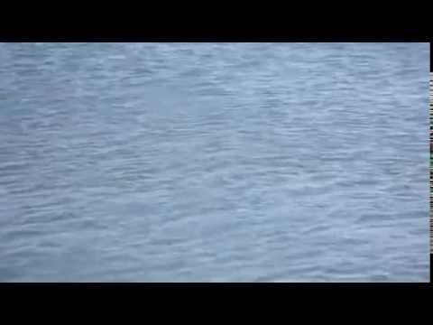 Футаж вода волны