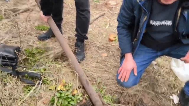 Спасли щенка на Трудовских