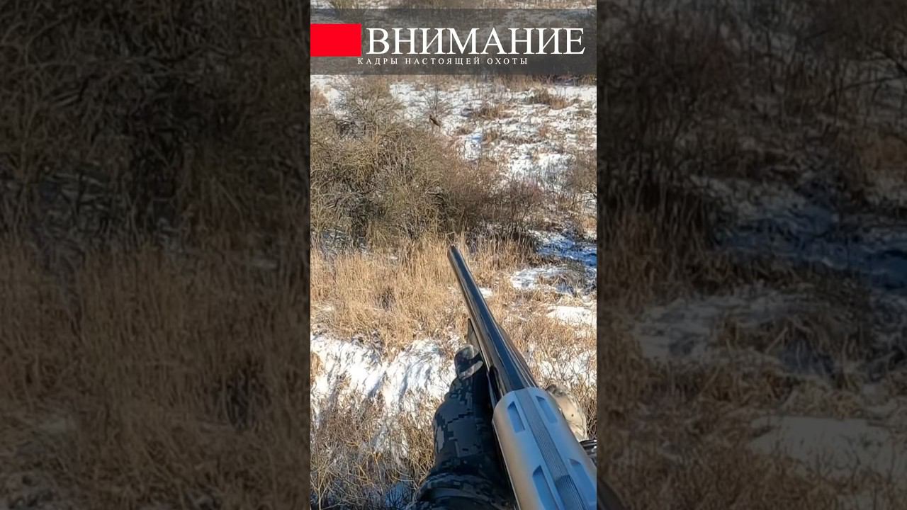 Друзья, не забывайте о терпении и безопасности и тогда ваша охота будет удачной!