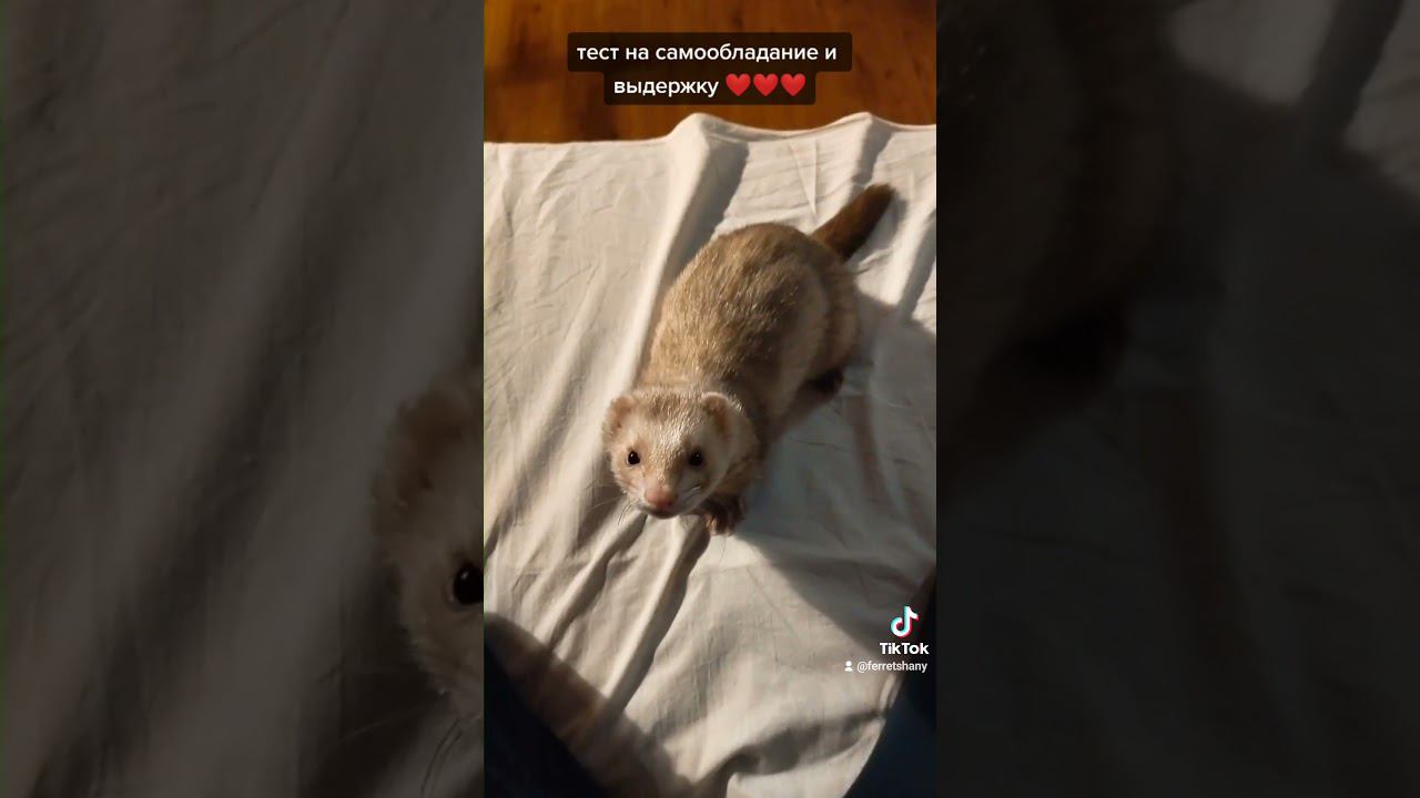 "Можно мне витаминочку... "