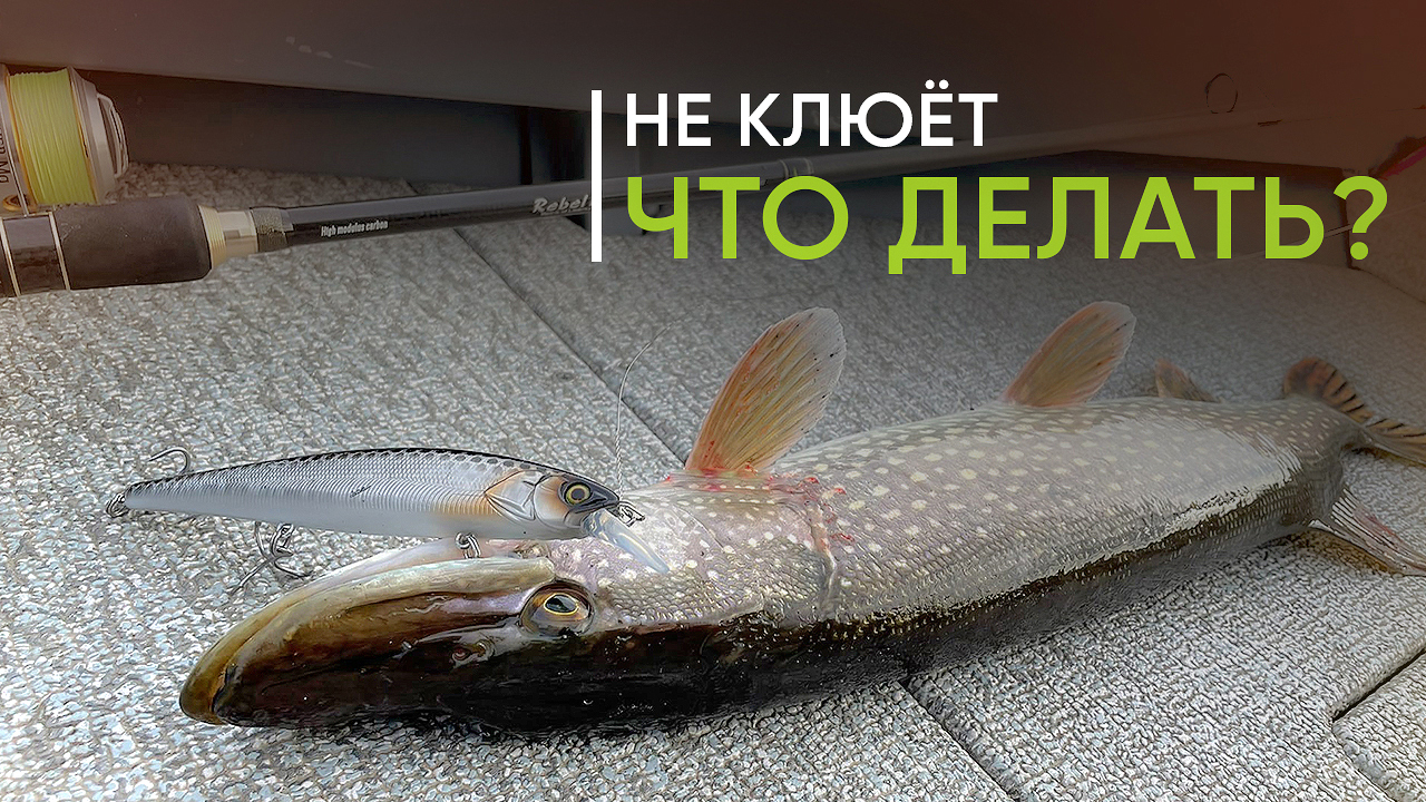 Бесклёвье — не приговор! Как ловить неклюющую щуку