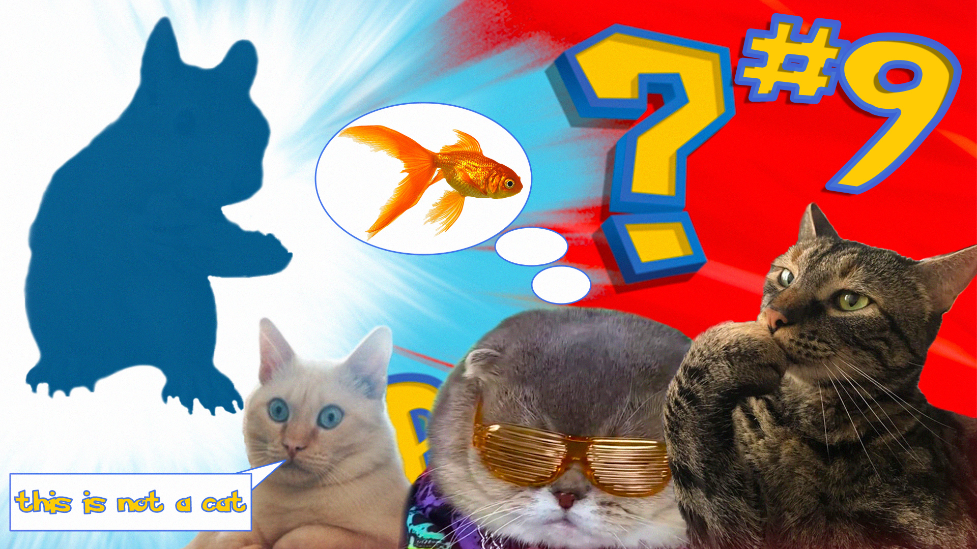 Purrfect #9 | Свежая подборка питомцев | Смешные и милые | Забавные Животные | Приколы 2024