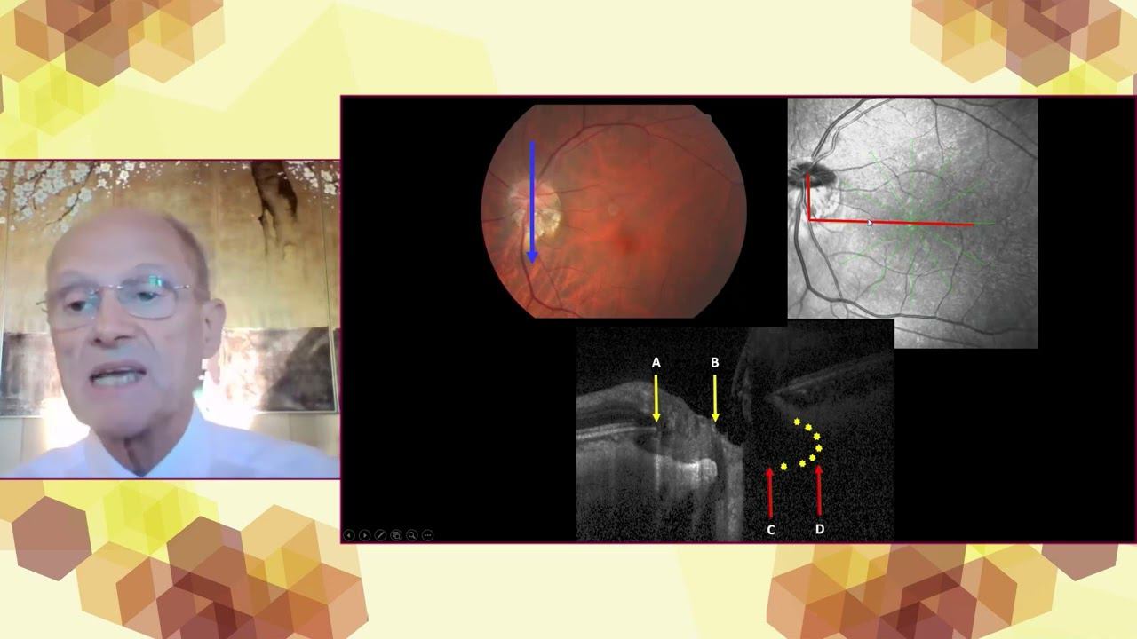 7 июня  2024 Конференц-зал №1 / June 7, 2024 Conference Hall #1