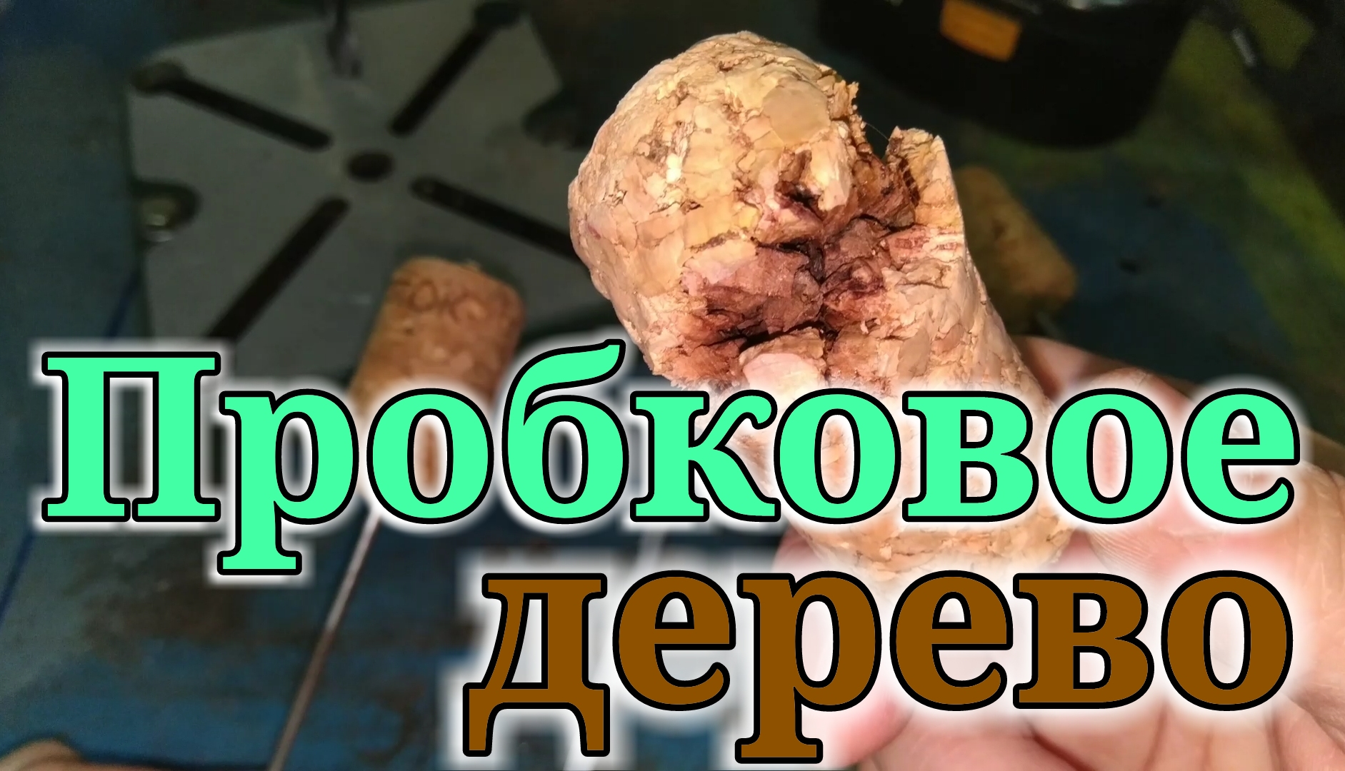 Пробковое дерево. Самоделки из пробок.