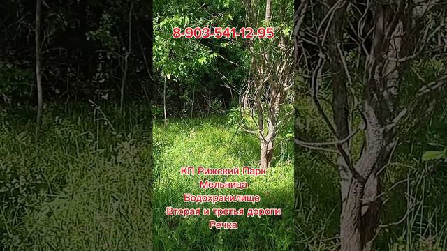 15 Рижский Парк Коттеджный посёлок Мельница Две Дороги Водохранилище Речка #дача #коттеджи #участок