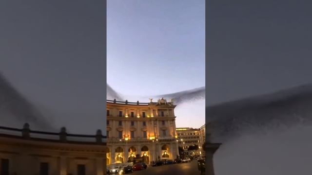 Скворцы прилетели