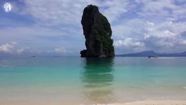 Джо Диспенза. Квантовая модель реальности. Как  мысли воздействуют на нашу жизнь.