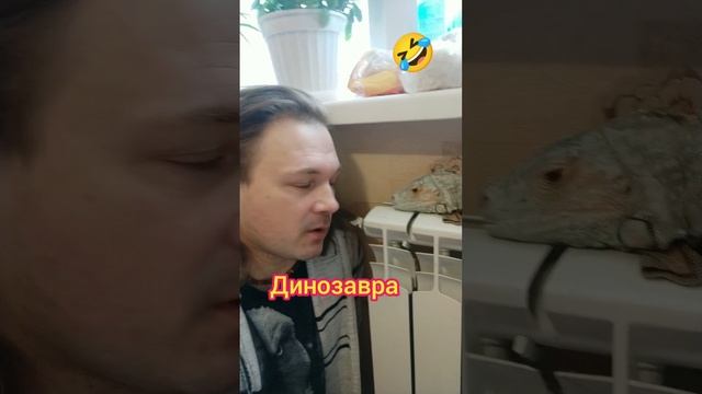 Динозавр и муравей