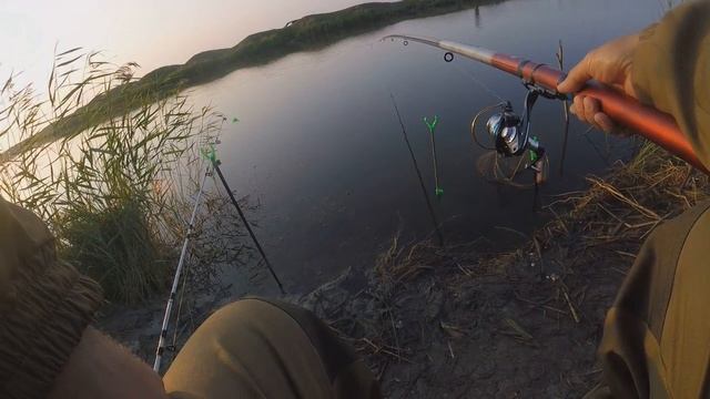 Карп, карась, сазан в августе в жару. Рыбалка с ночёвкой на Сартлане на Красном Яру.