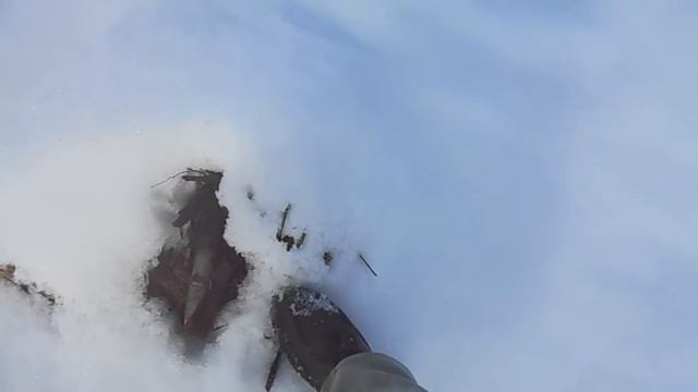 Осмотр Участков _ _ 05.02.2019 (1)