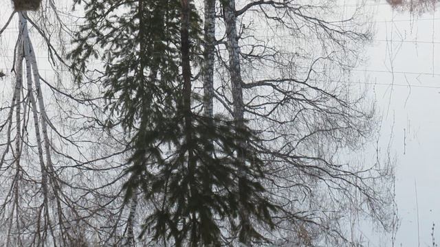 Весна пришла слишком быстро