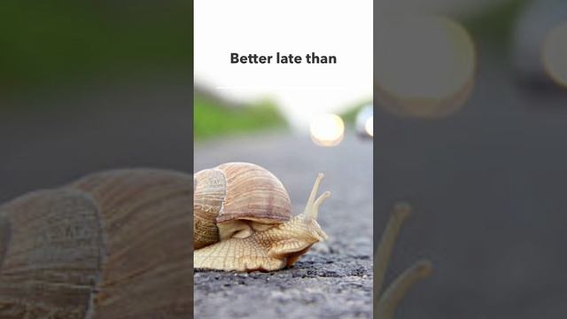 Уроки английского. Фраза дня.