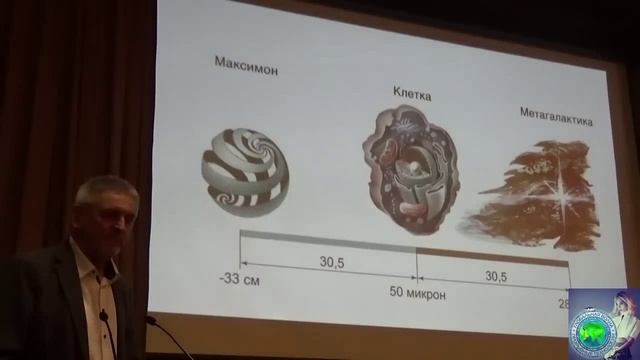 Четвёртое измерение. От амёбы до космической цивилизации (Сергей Сухонос)