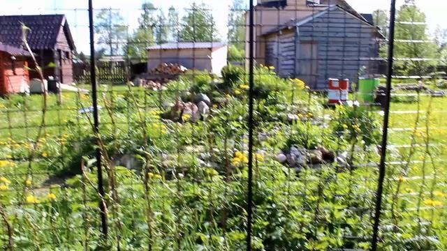 Мой участок на 5 июня 2022 года))