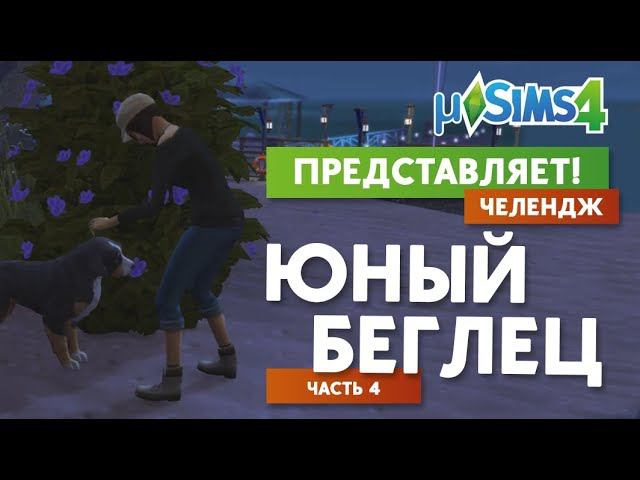 Юный беглец #4. Новая встреча с Коди.