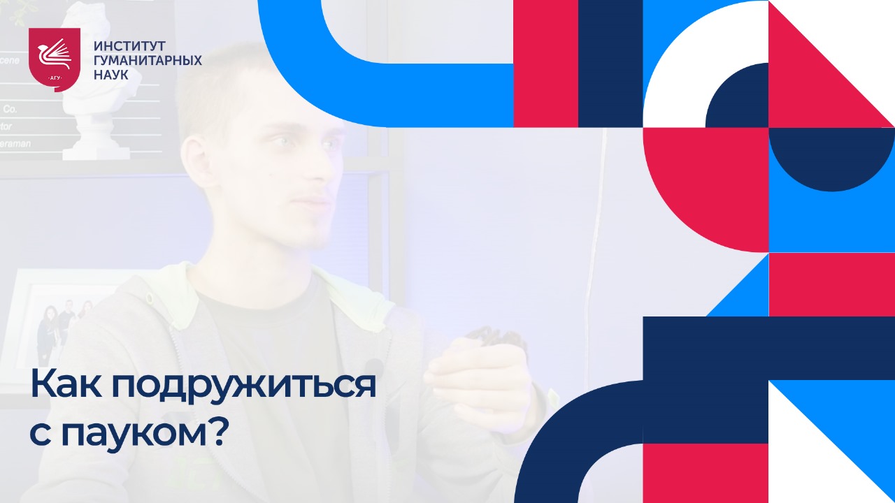 Как подружиться с пауком? | Тизер проекта «Так можно было»