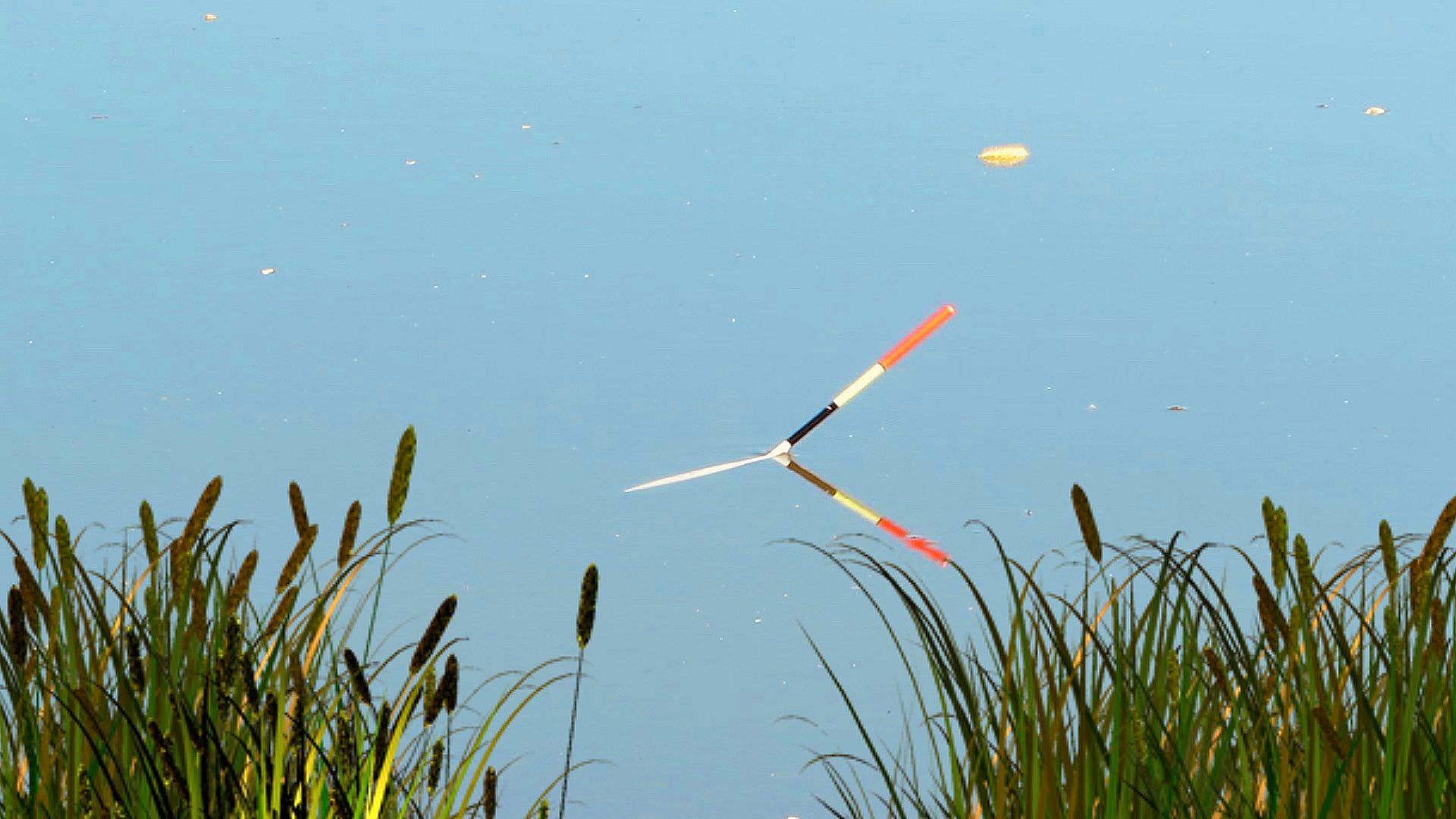 ЖОР КАРАСЯ В МАЕ Рыбалка на поплавочную удочку Тут кишит карась