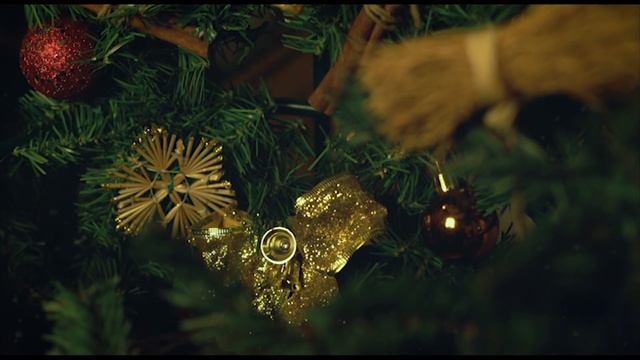 Новый Год в Кафедральном соборе.