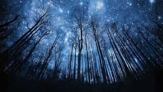 Вера Романенко  Ночь