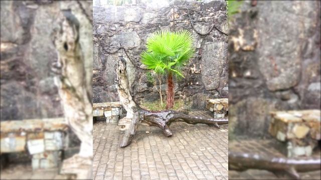 Псырцхинская гидроэлектростанция. Фигуры из дерева. Абхазия .2022 г.