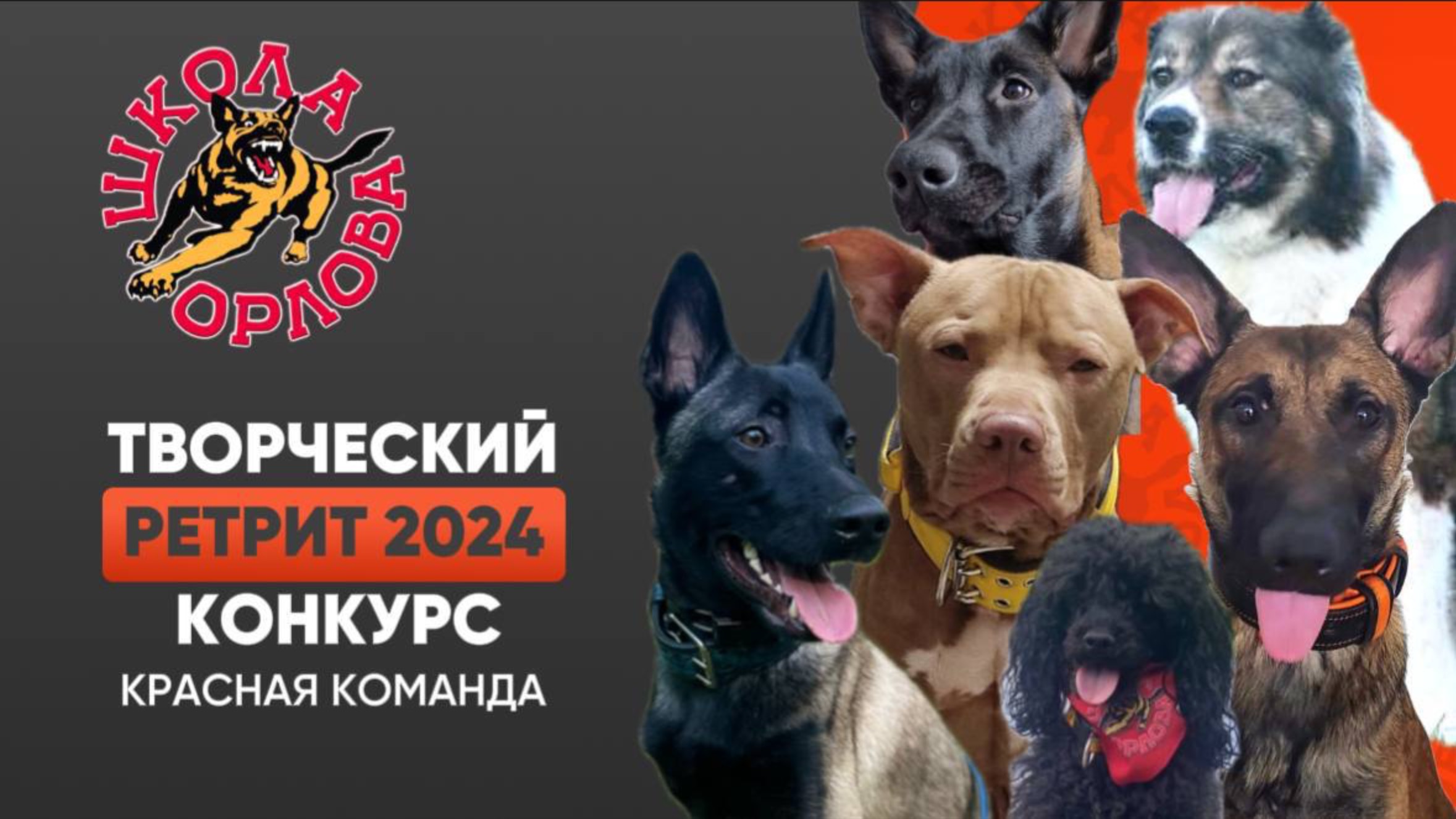 Какой путь проходит Душа собаки