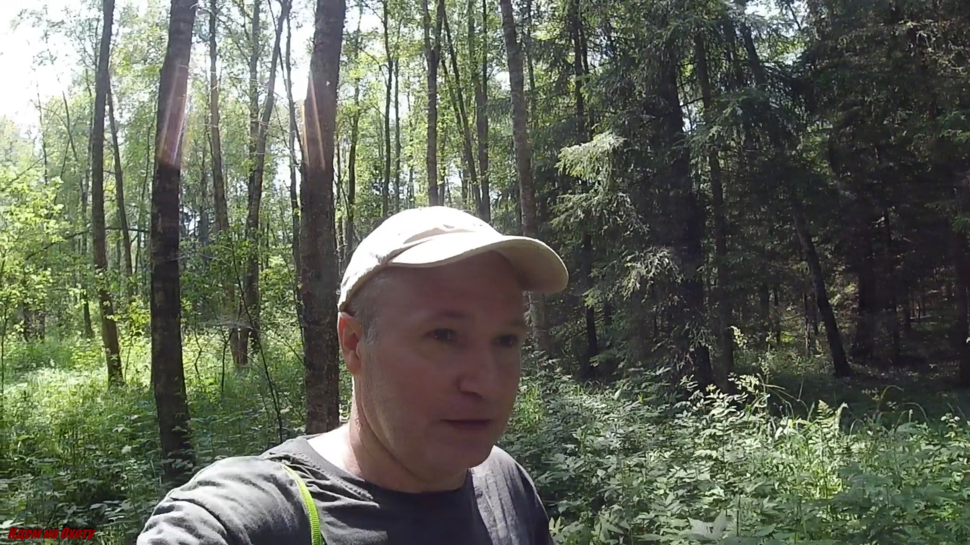 Делаю солонец. Мой первый опыт ч.2 (продолжение).