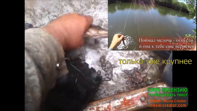 Плавучие жерлицы из пластиковых бутылок.