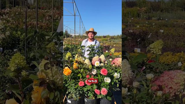 Плохие новости!