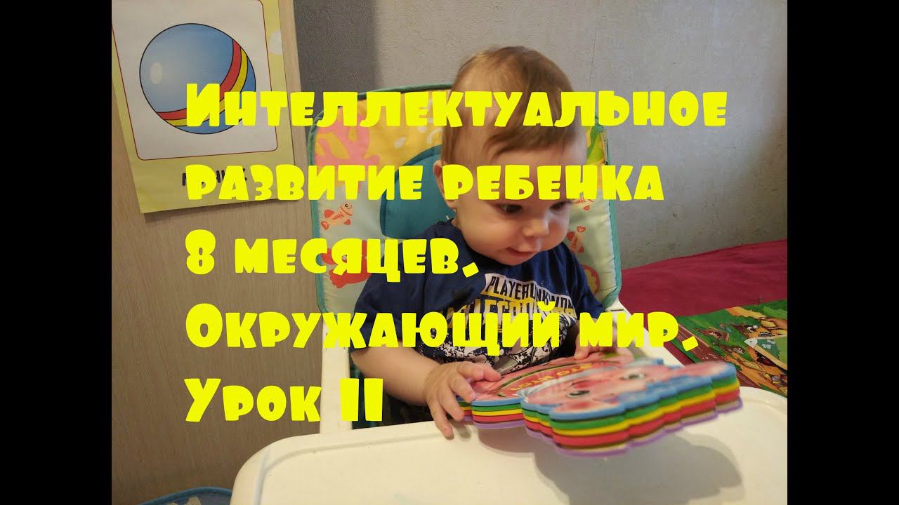 Интеллектуальное развитие ребенка 8 месяцев  Окружающий мир  Урок 11