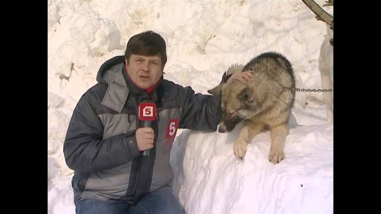 ПЕРВЫЙ ЭТАП «БЕРИНГИИ» ПРОЙДЕН